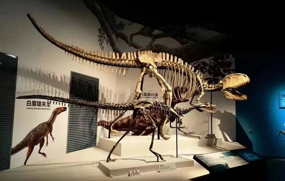 10 Reasons to Choose Chengdu University of Technology!-CHENGDU ...