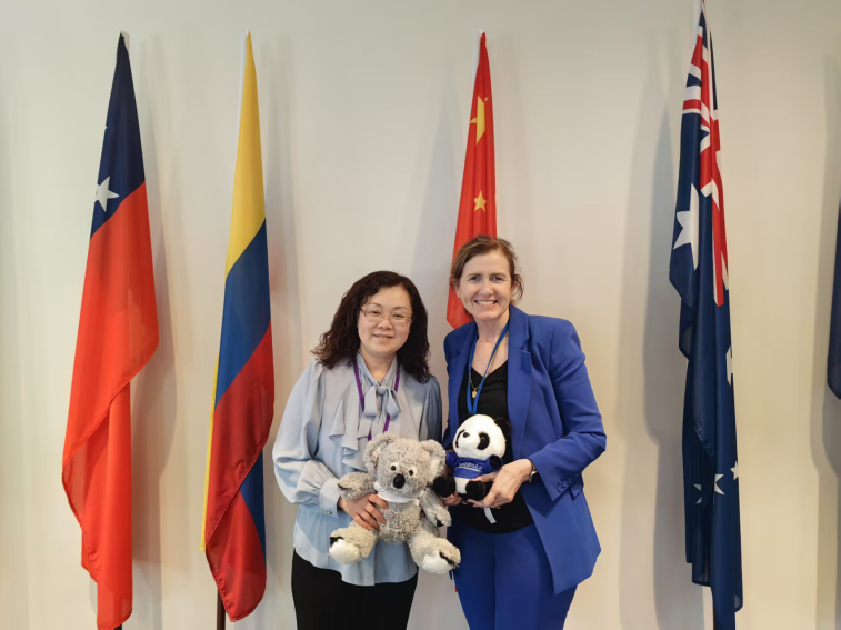 Expanding Global Horizons: CDUT's College of International Education ...